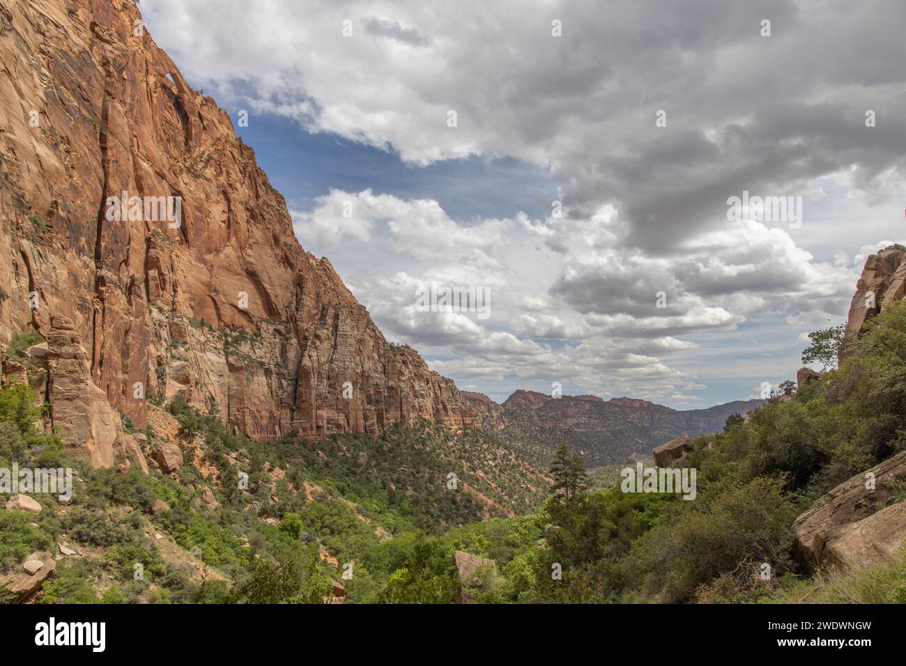 View into Water Canyon with clouds and high rock face on the left ...
