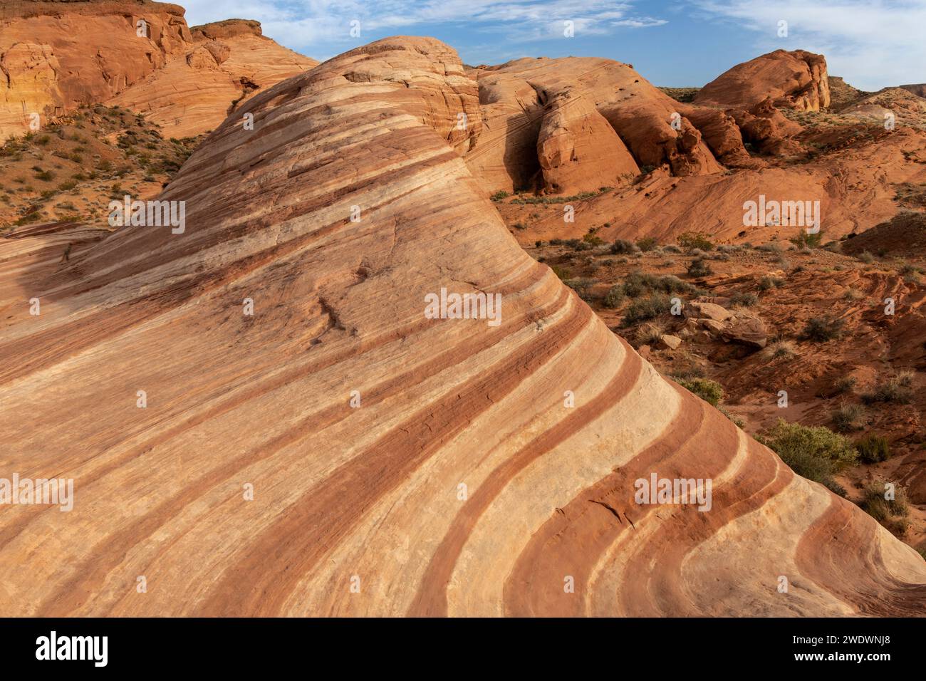 Curved lines in the rock of Fire Wave rock formation in Valley of Fire ...