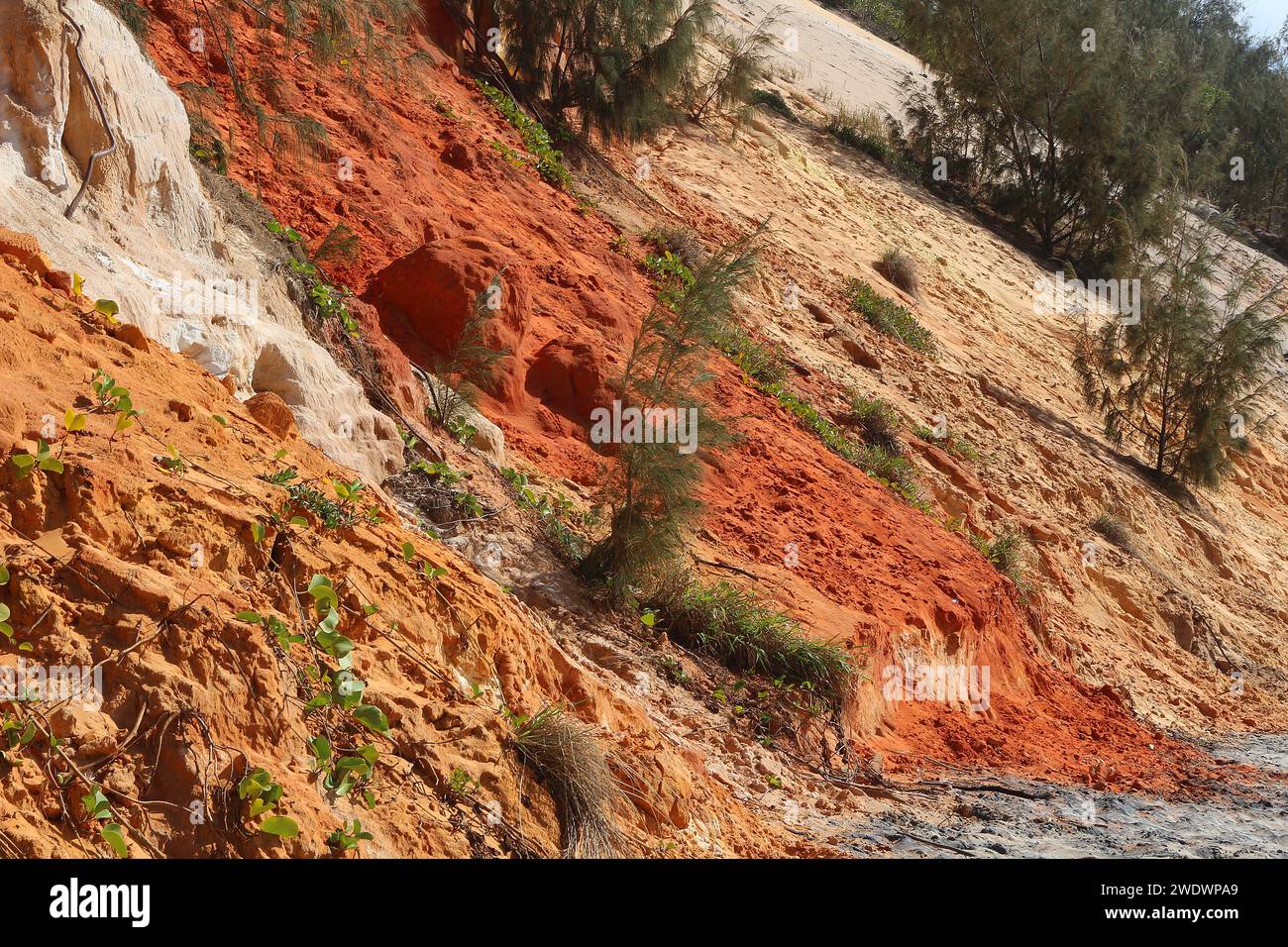 Colored sand cliffs at Rainbow Beach, Cooloola National Park ...