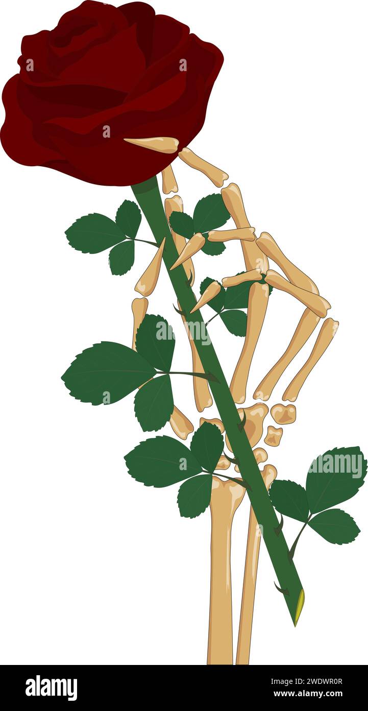 Skeleton hand rose hi-res stock photography and images - Alamy