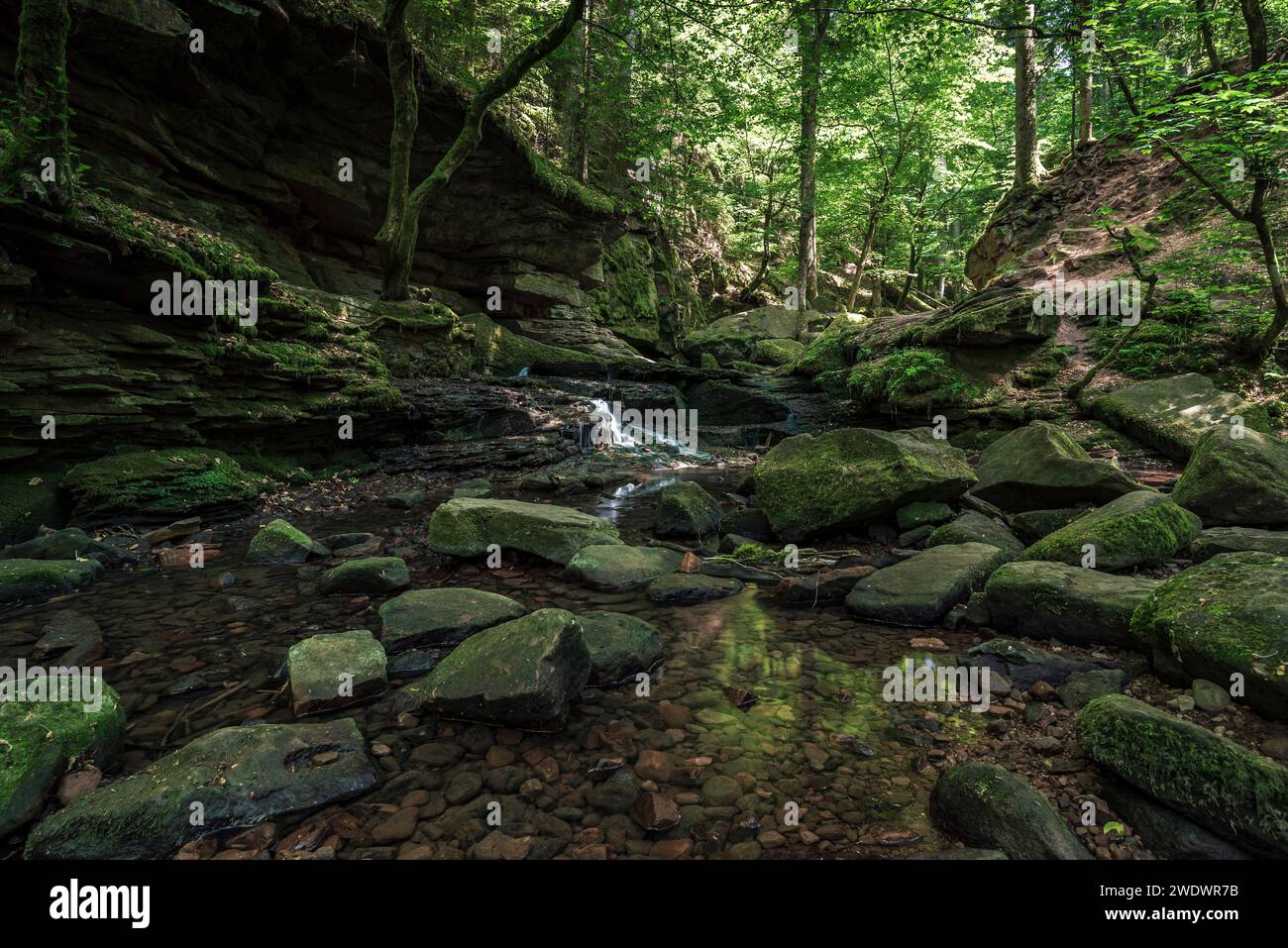 The Monbachschlucht in the Monbachtal, Bad Liebenzell, Black Forest ...