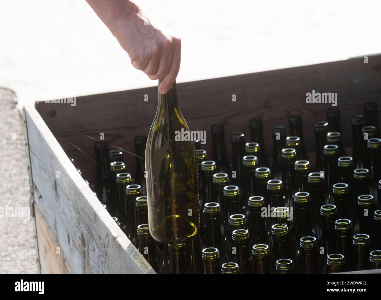 client shopping as symbol for consumption, business and economy the ...