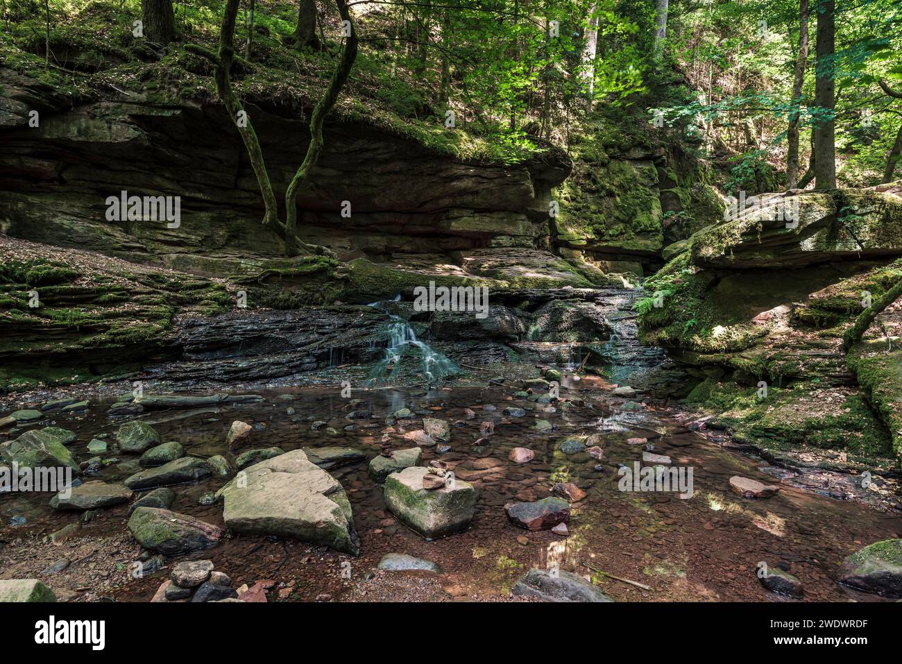 Hiking trail to the Monbachschlucht in the Monbachtal, Bad Liebenzell ...