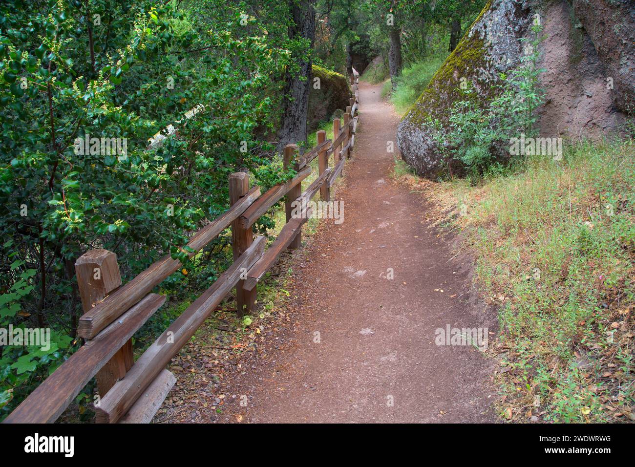 Bear Gulch Cave Trail, Pinnacles National Park, California Stock Photo ...