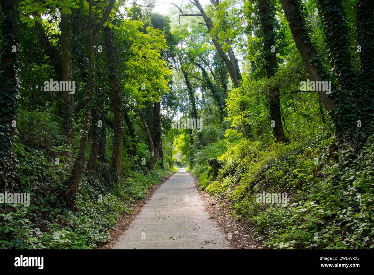 Somló hungary hi-res stock photography and images - Alamy
