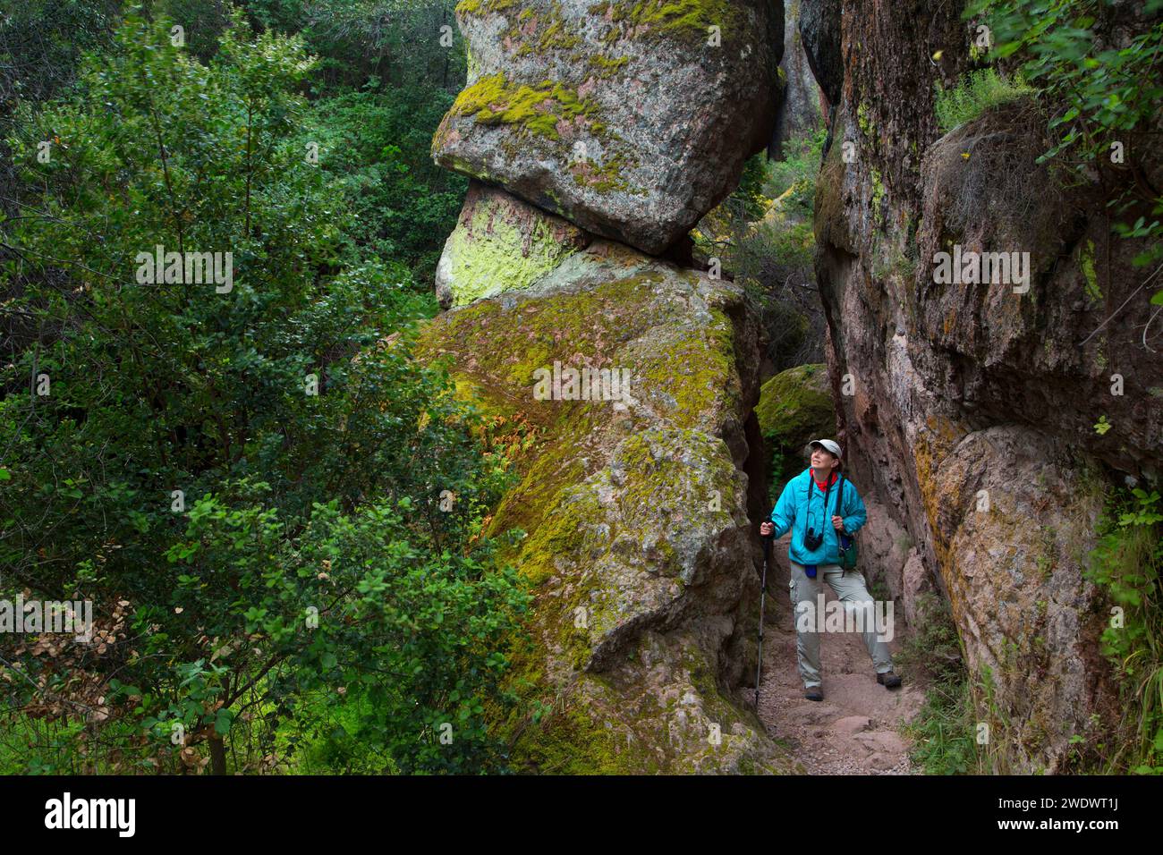 Bear Gulch Cave Trail, Pinnacles National Park, California Stock Photo ...