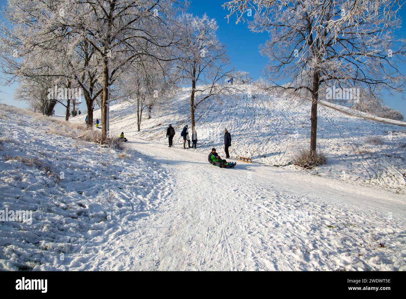 A rare picture: Winter wonderland in Ludwigshafen am Rhein. With ...