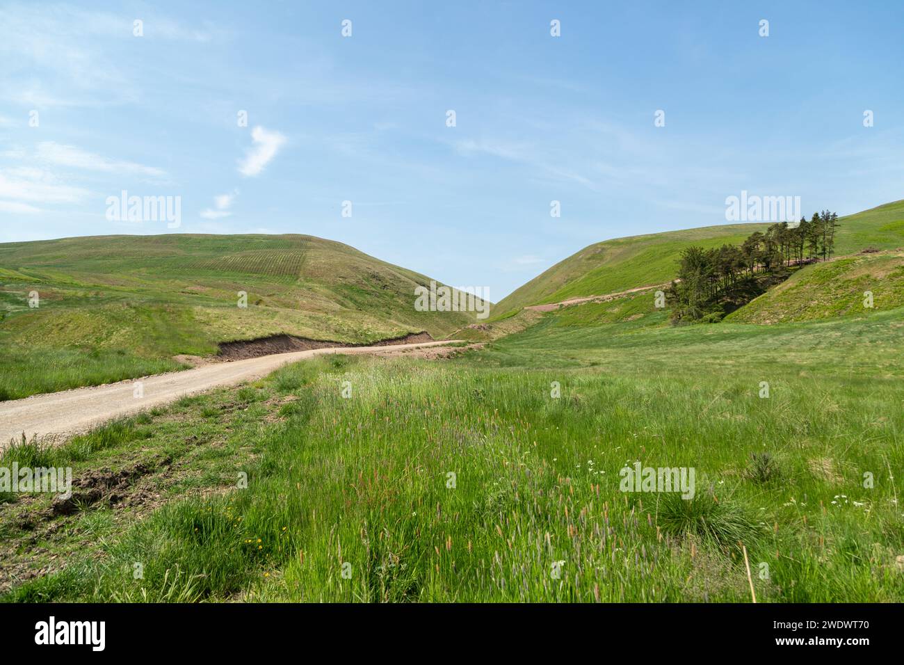 Corb law hi-res stock photography and images - Alamy