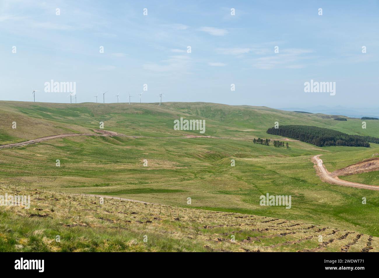 Steele’s Knowe from Corb Glen Stock Photo - Alamy