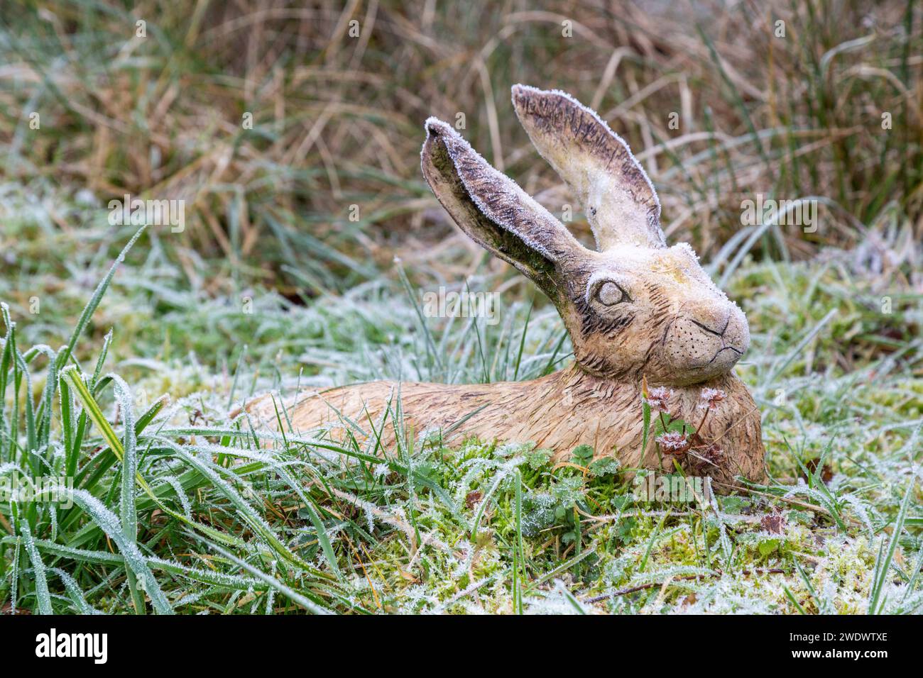 Hand built ceramic hare sculptures by Caitlyn Vesey in Moncreiffe Hill ...