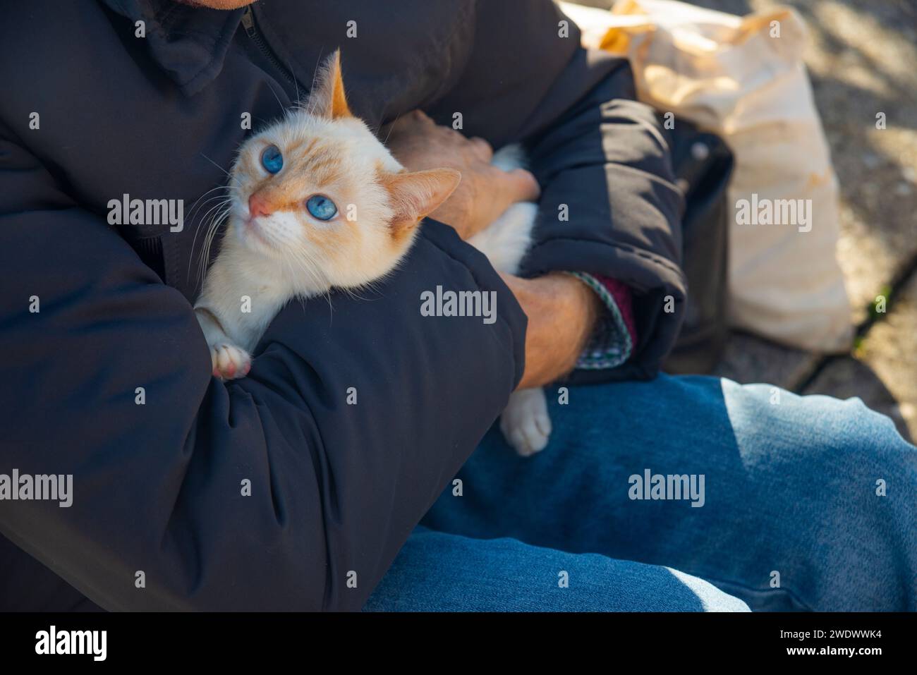 Man holding cat in arms hi-res stock photography and images - Alamy