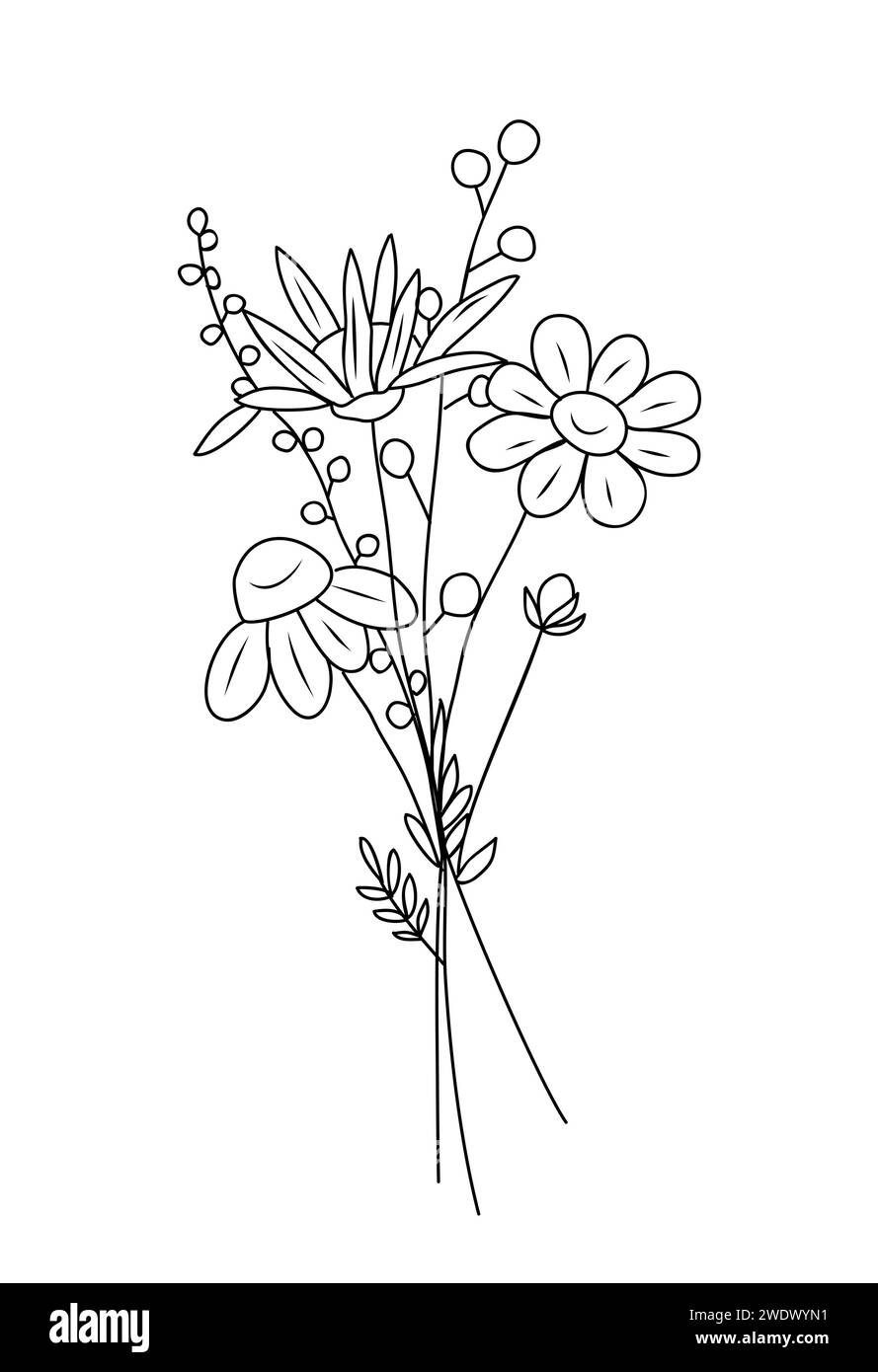 Bouquet with daisy flowers, plants line art vector Stock Vector Image ...