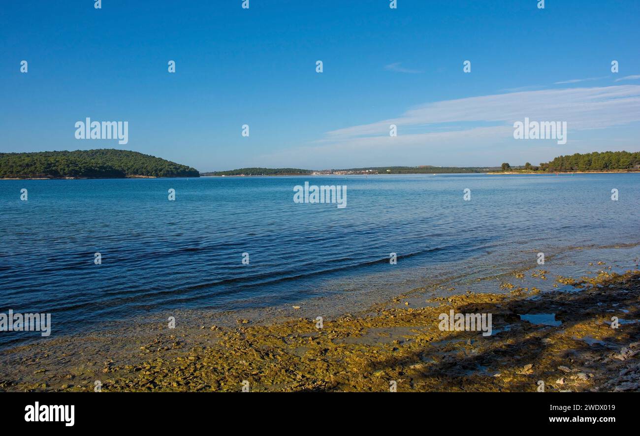 The coast of the Kasteja Forest Park - Park Suma Kasteja - in Medulin ...