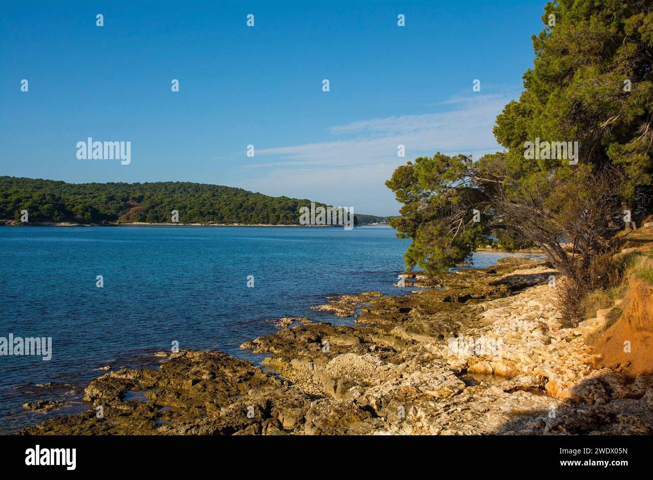 The coast of the Kasteja Forest Park - Park Suma Kasteja - in Medulin ...