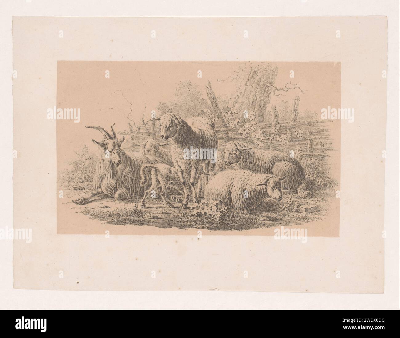 Goat buck, five sheep and a lamb, Pieter de Goeje, 1809 - 1859 print ...