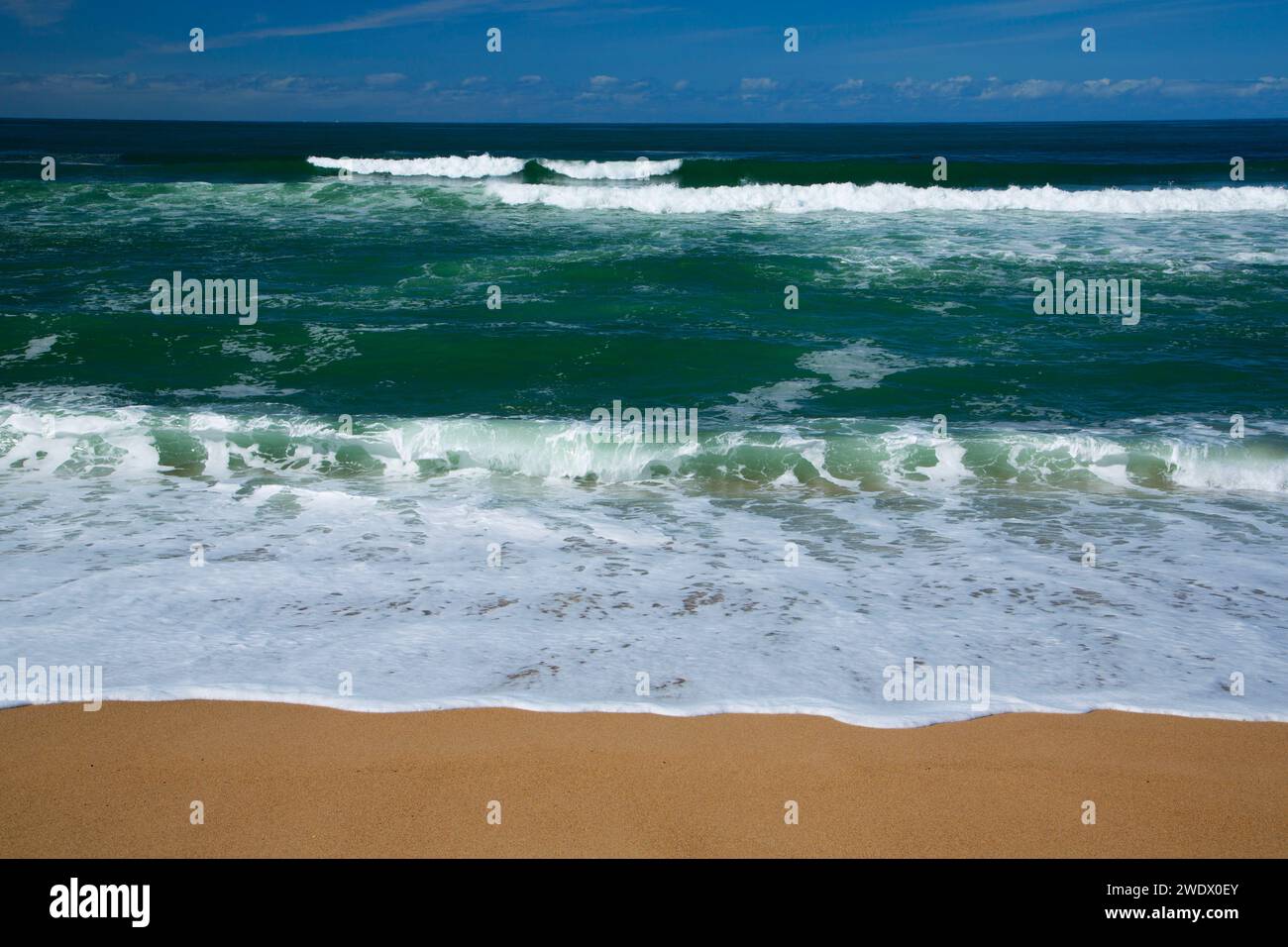 Beach, Fort Ord Dunes State Park, Seaside, California Stock Photo - Alamy