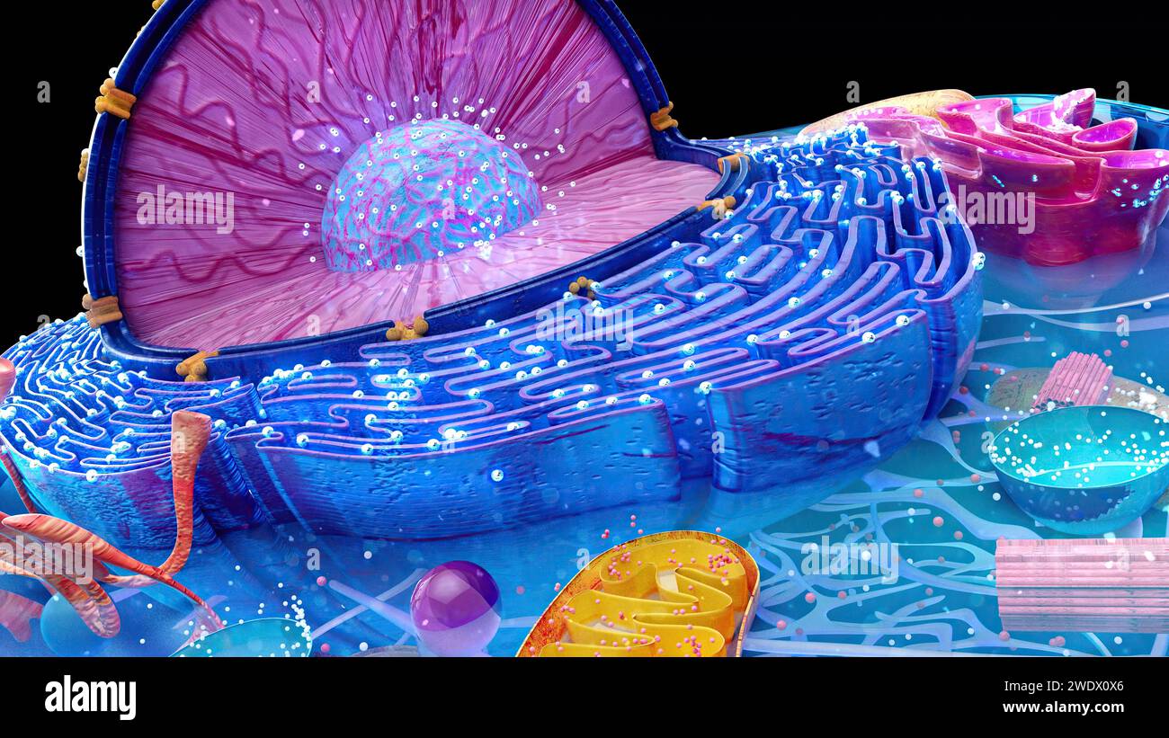 Abstract illustration of the biological cell Stock Photo - Alamy