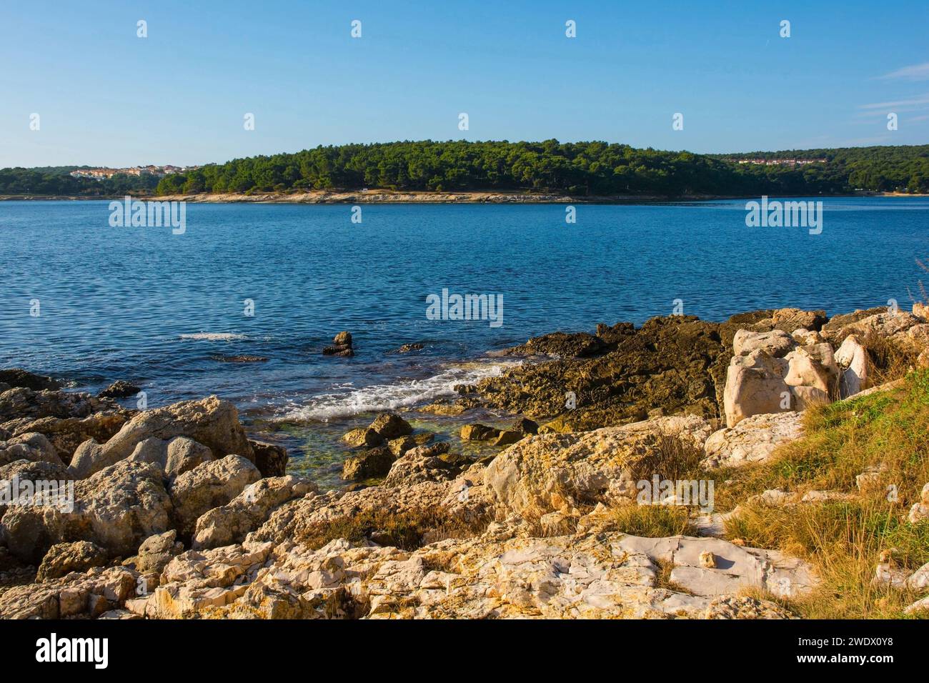 The rugged limestone coast of Kasteja Forest Park-Park Suma Kasteja in ...