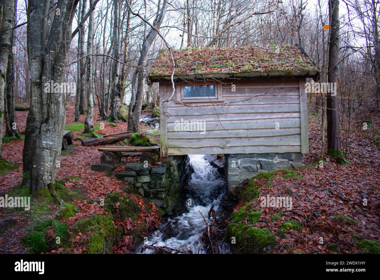 Unique wooden house built over a small creek with running water ...