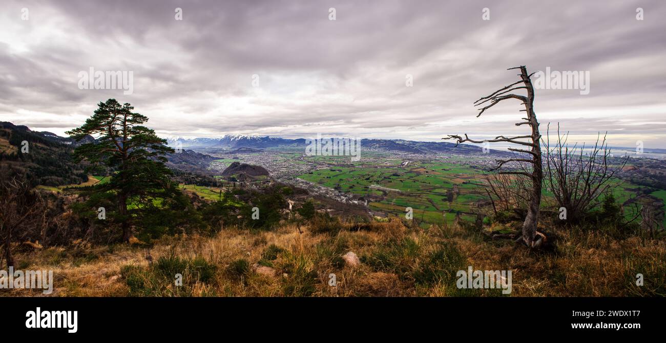 Panorama Landscape near Hohenems, Vorarlberg, Austria in the winter ...