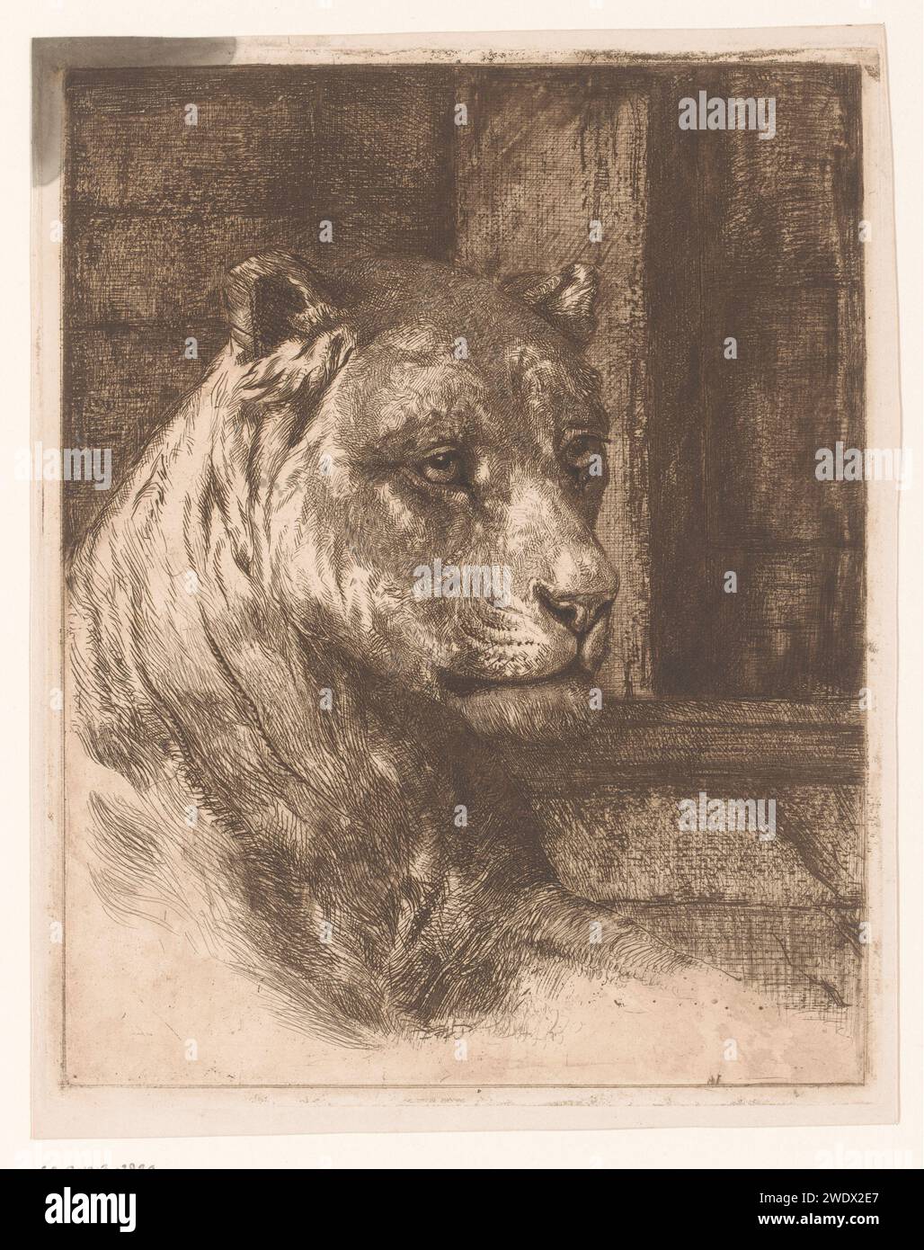 Joseph schippers hi-res stock photography and images - Alamy