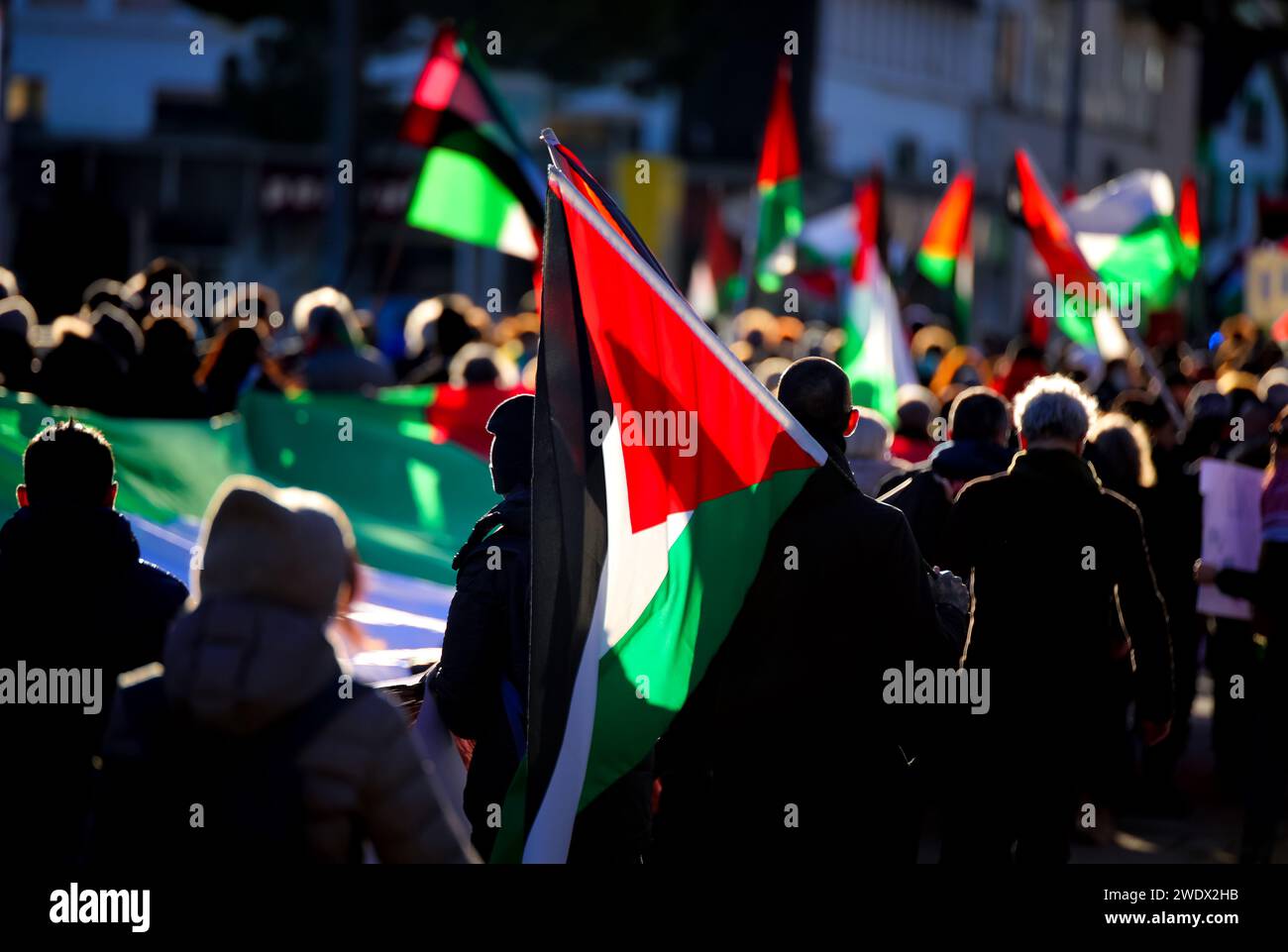 many waving Palestinian flags with unidentifiable backlit protesters ...