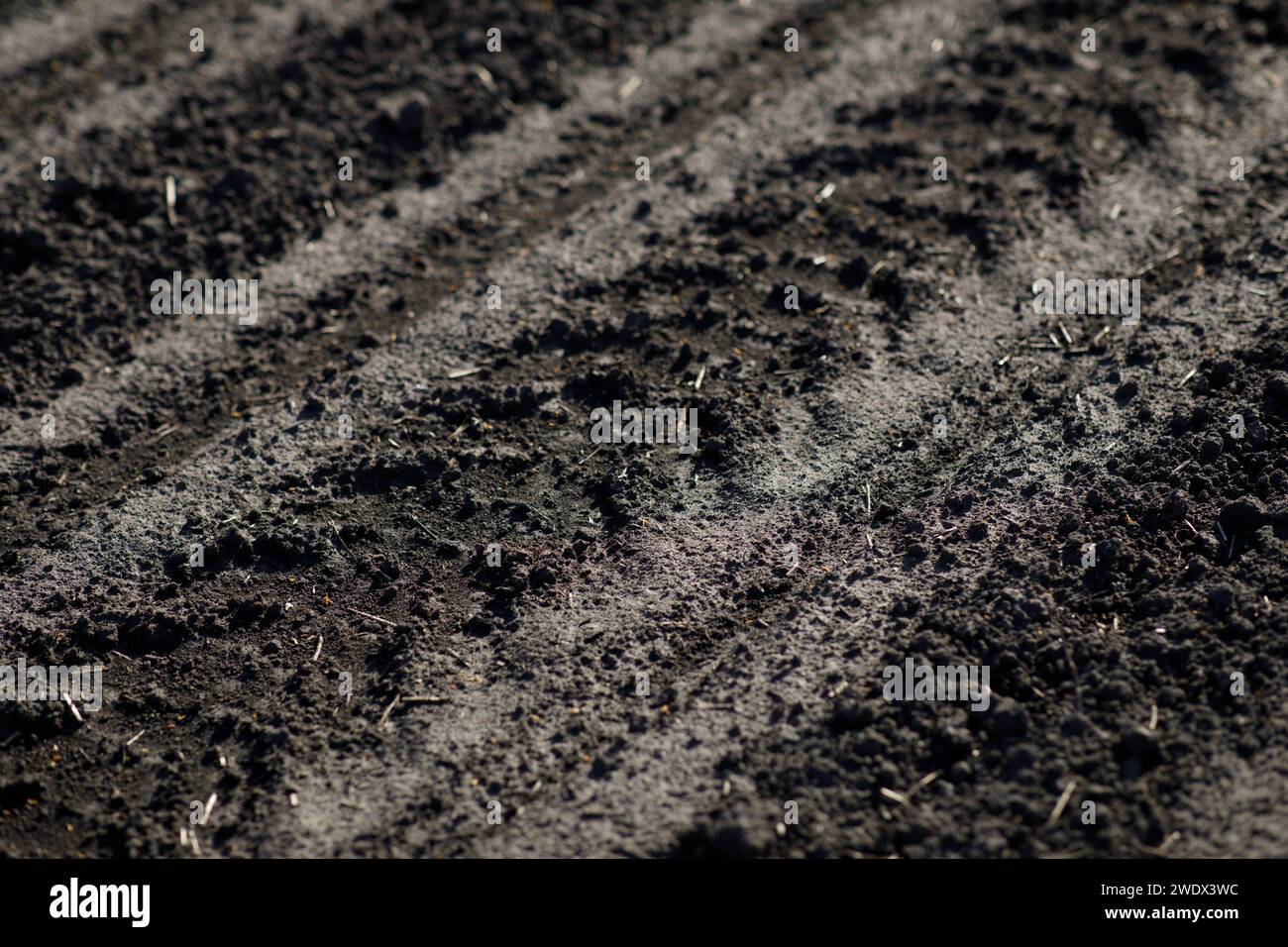 Chernozem ukraine hi-res stock photography and images - Alamy