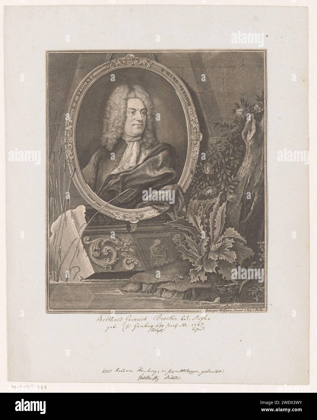 Acanthus thistle hi-res stock photography and images - Alamy