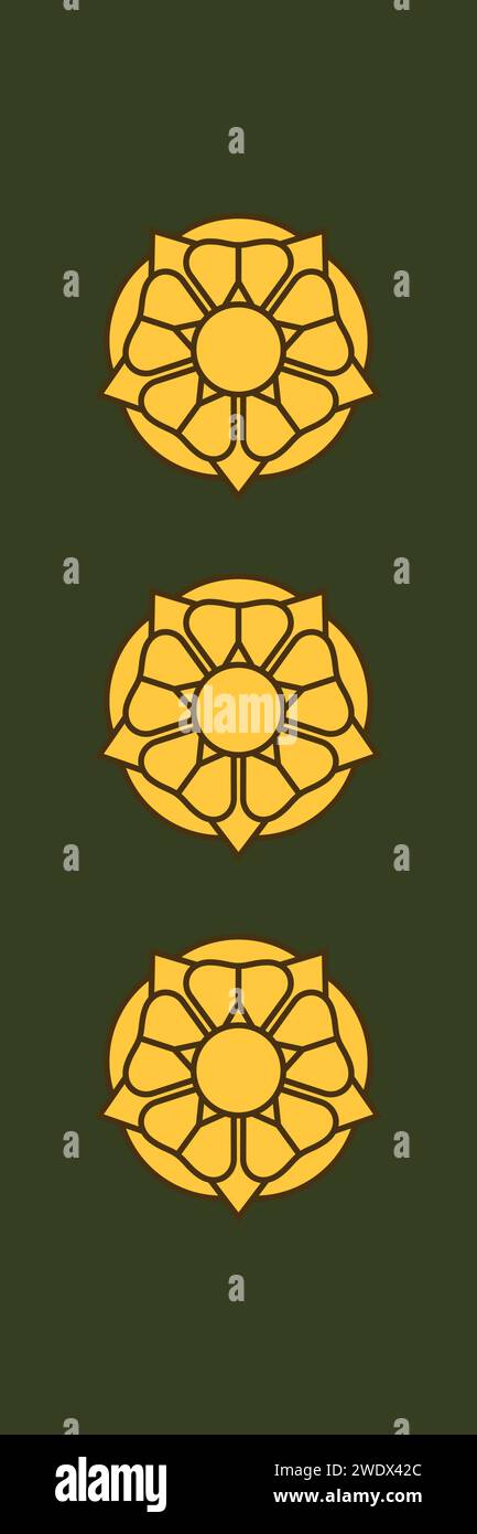 Shoulder pad military officer insignia of the Finland EVERSTI (COLONEL ...