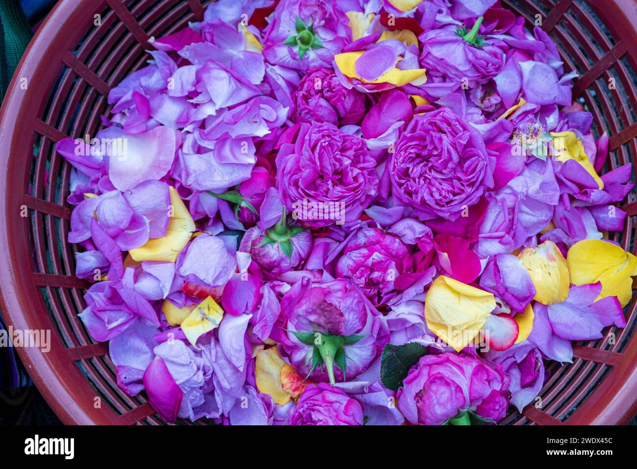 Mercado maya de américa central hi-res stock photography and images - Alamy