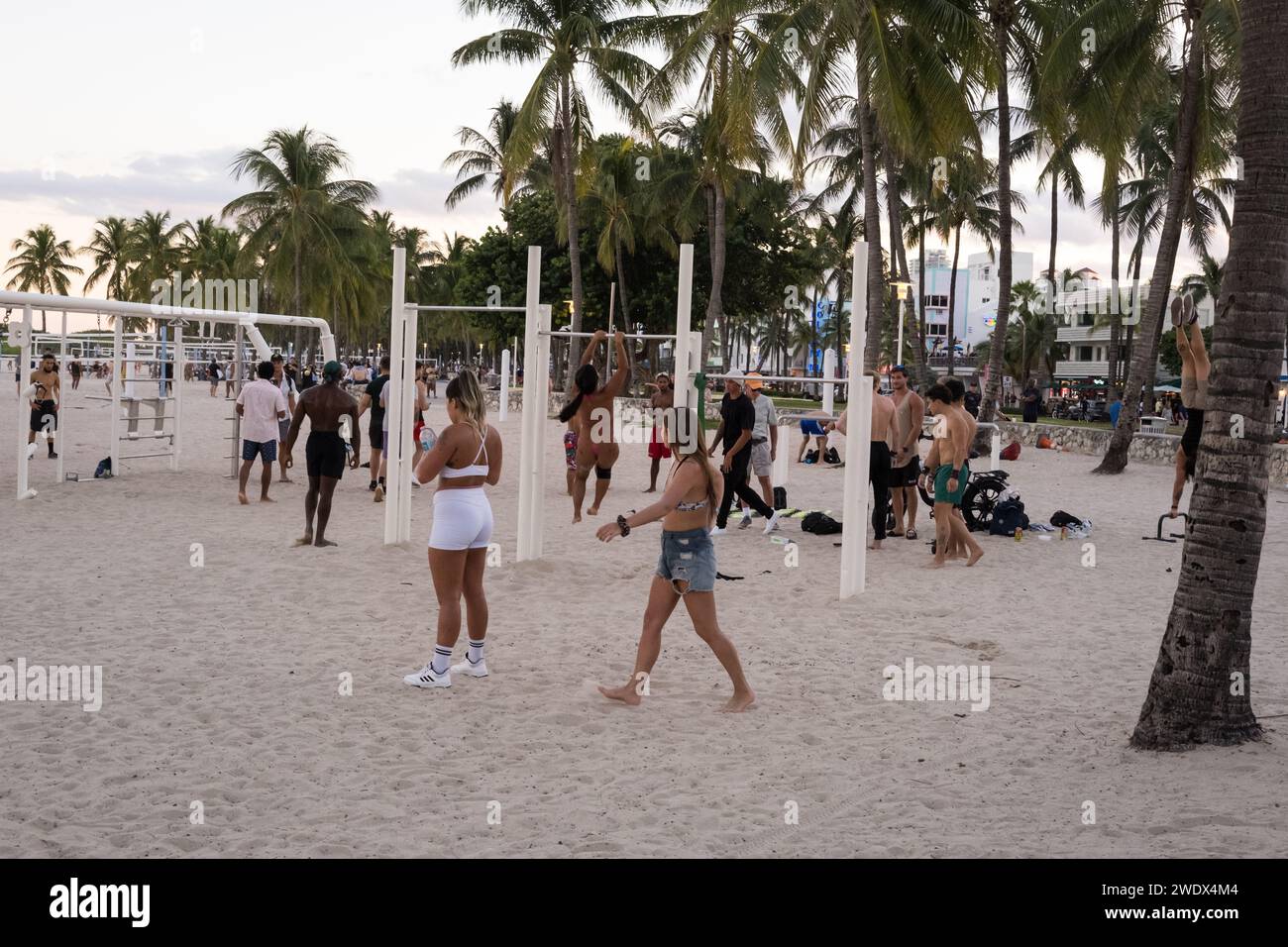Muscle beach florida hi-res stock photography and images - Alamy