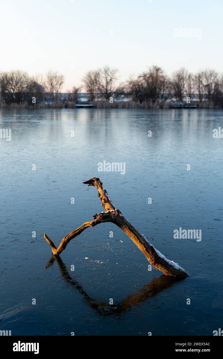 Winter landscape with a tree branch sticking out of a frozen lake Stock ...