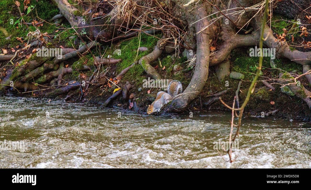 Dundee nature reserve hi-res stock photography and images - Alamy