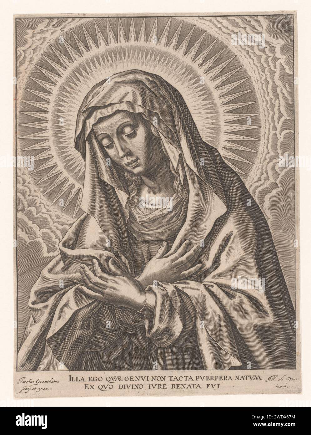 Jacques de vos hi-res stock photography and images - Alamy