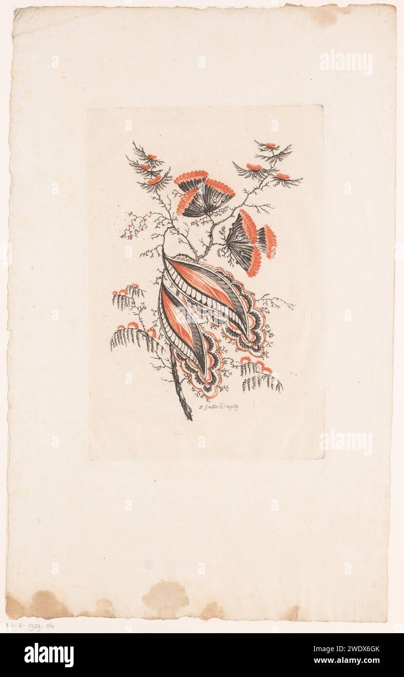 Fan -shaped flowers, Edouard Gautier d'Agoty, After Jean Baptiste ...