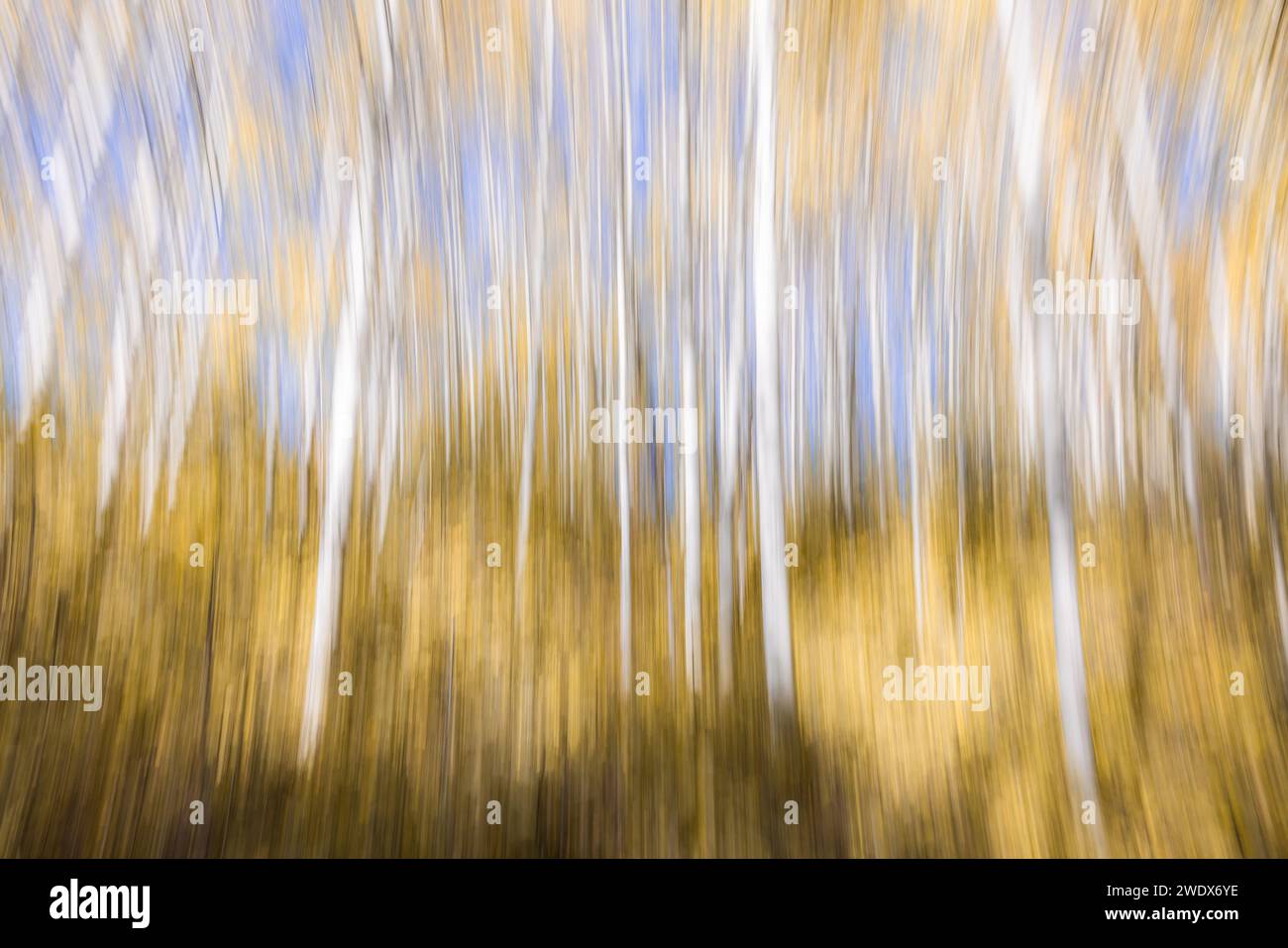 ICM Intentional camera movement technique used to create an abstract ...