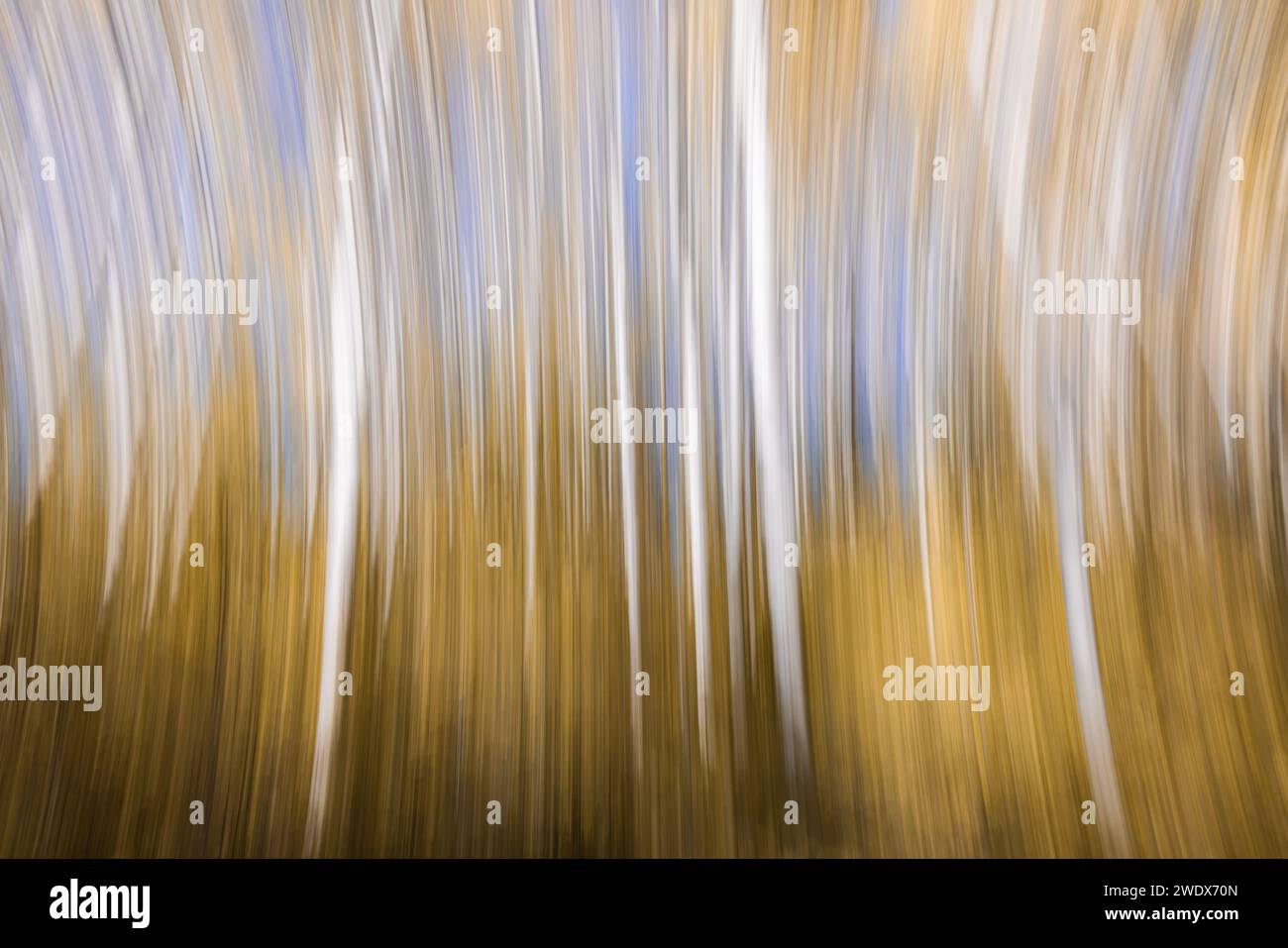 ICM Intentional camera movement technique used to create an abstract ...