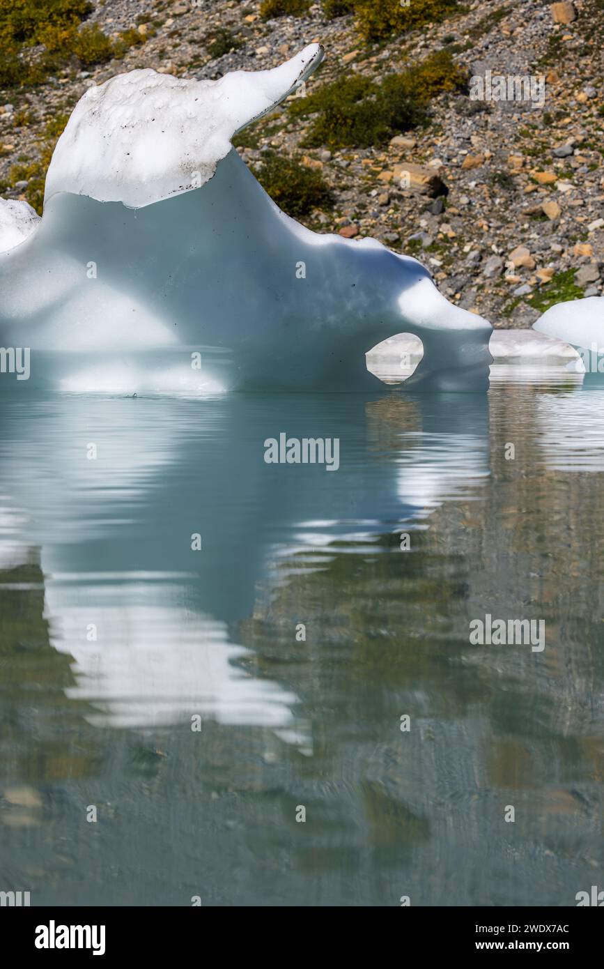 Icebergs floating in Upper Grinnell Lake in Glacier National Park ...