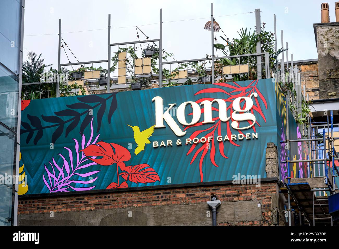 Kong bar and roof garden hi-res stock photography and images - Alamy