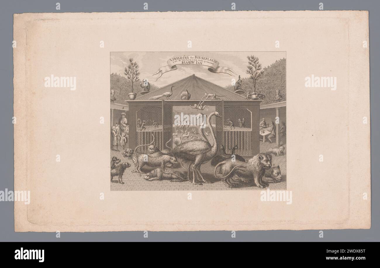 Raven parrots hi-res stock photography and images - Alamy