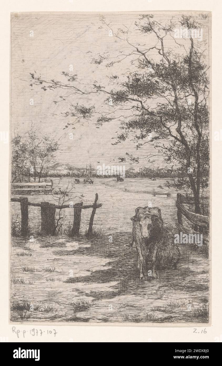 Cow is milked in a meadow, Philip Zilcken, 1867 - 1890 print paper ...