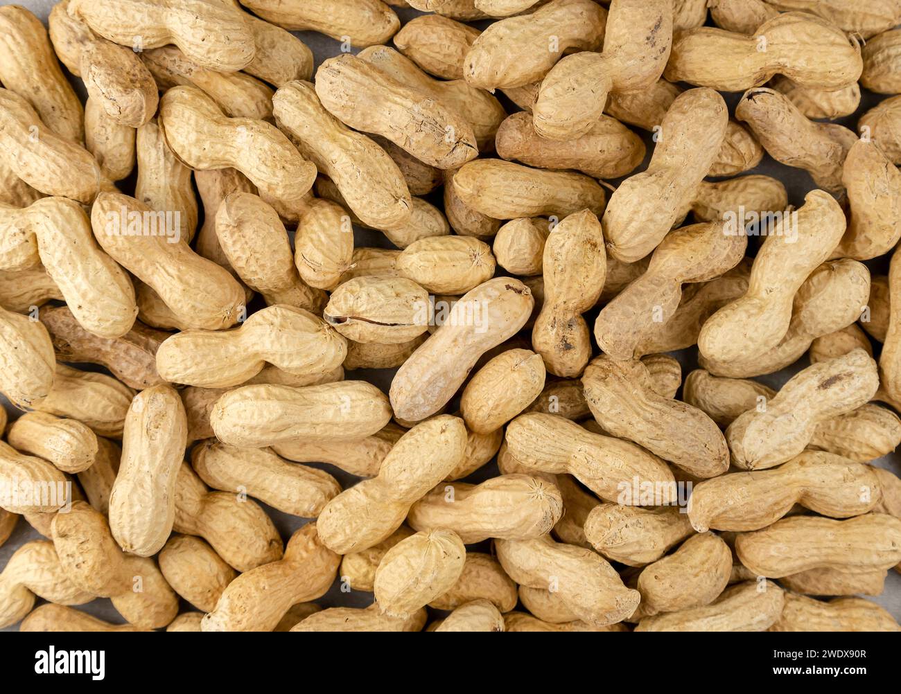 Close-up of unpeeled peanuts, top view, peanut background Stock Photo ...