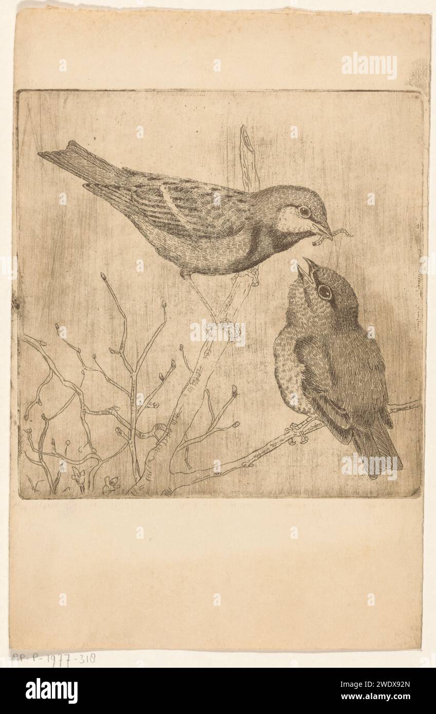 Vogel leads Jong, Balthasar Meisner, 1894 - 1977 print A bird is ...