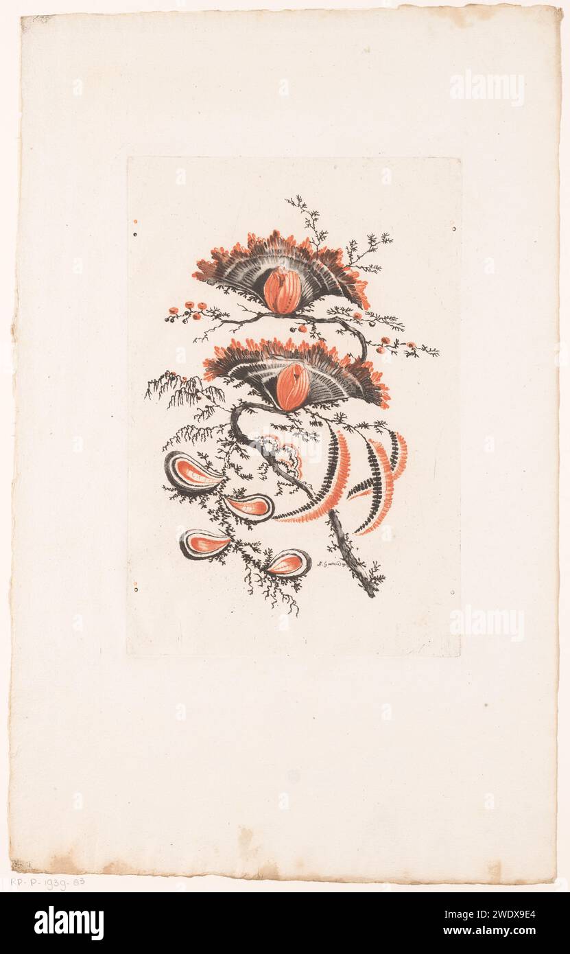 Fan -shaped flowers, Edouard Gautier d'Agoty, After Jean Baptiste ...