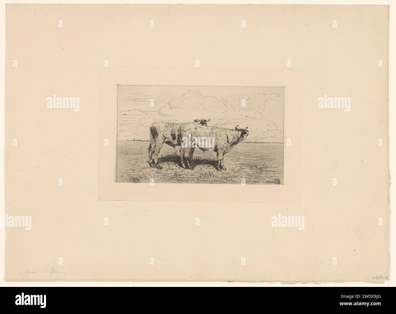 Two cattle in a landscape, Alfred Verwee, 1848 - 1895 print paper ...