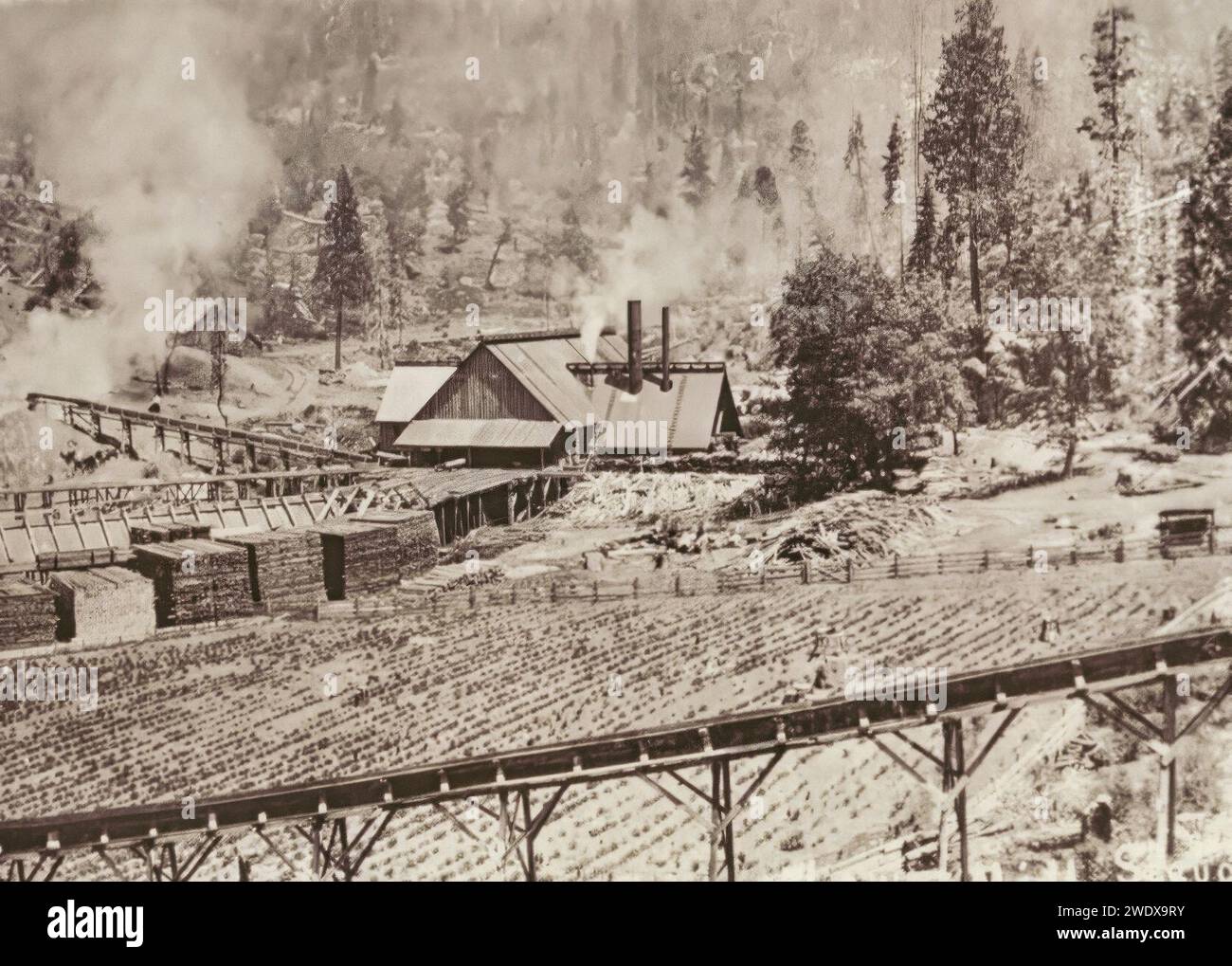 Abbott Mill Kings River Lumber Company Stock Photo - Alamy