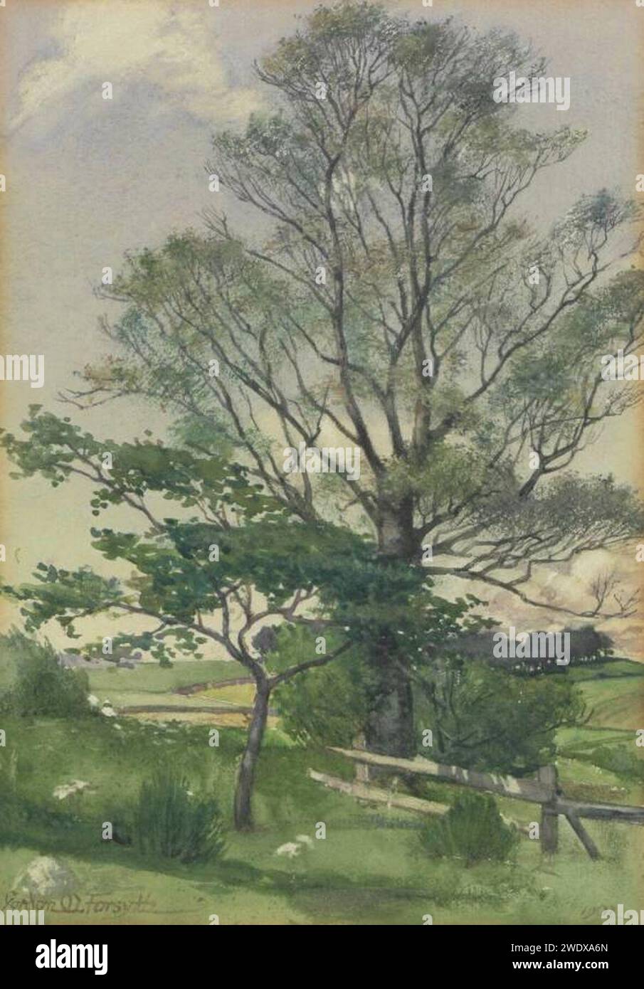 Gordon mitchell hi-res stock photography and images - Alamy