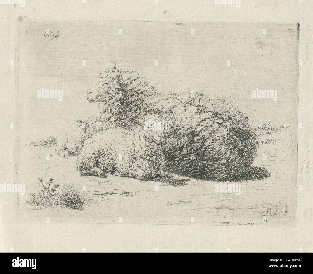 Lying sheep and two lambs, Frans LeBret, 1894 print A lying sheep in ...