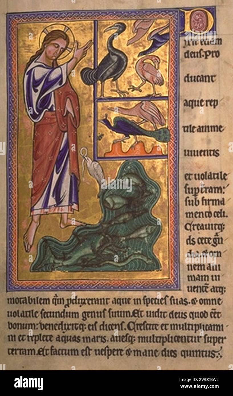 Aberdeen Bestiary Creation Of Birds And Fish (cropped Stock Photo - Alamy