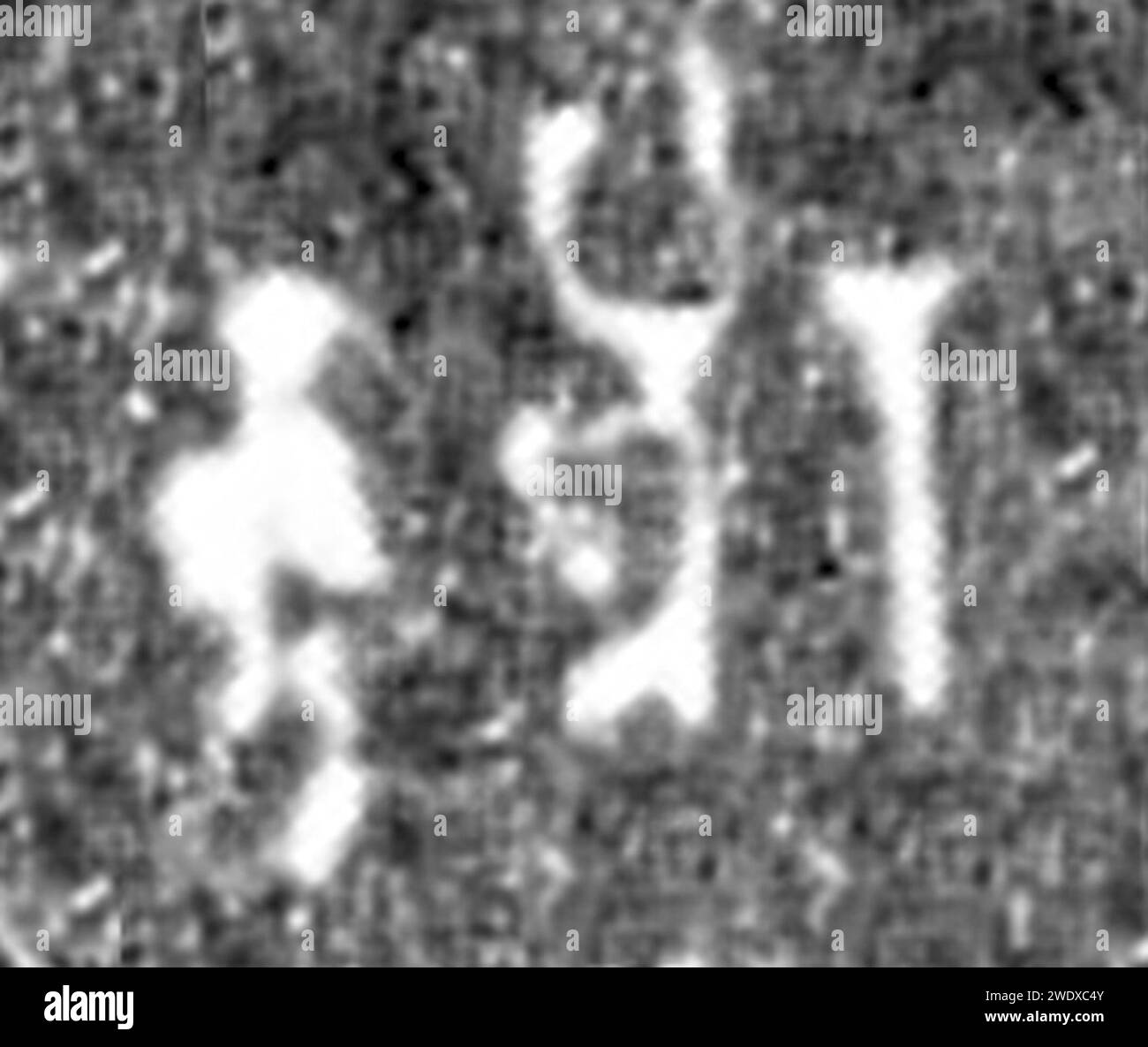 Abhira in the Allahabad Pillar inscription Stock Photo - Alamy